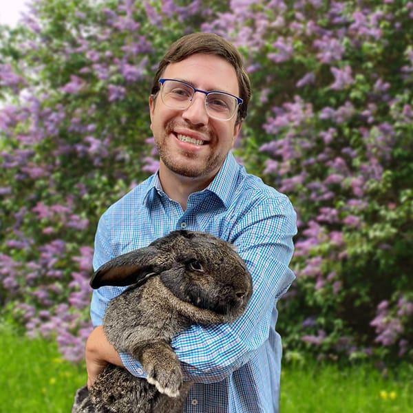 Portland | Lap of Love | Mobile Veterinarians